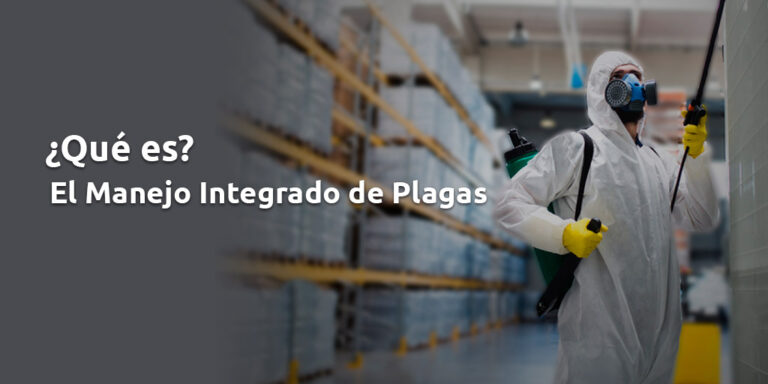 ¿Qué es el Manejo Integrado de Plagas? - Fumigación Universal, C.A