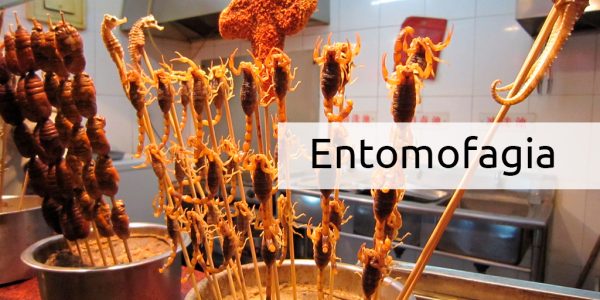 ¿Qué es la Entomofagia? – ¿Serías capaz de practicar este hábito ...