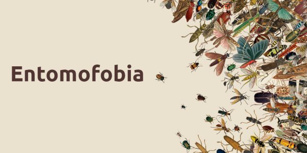¿Qué es la Entomofobia?- ¿Eres una de las personas que las padece ...