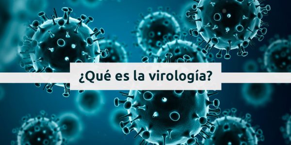 ¿Qué es la virología? - Fumigación Universal, C.A