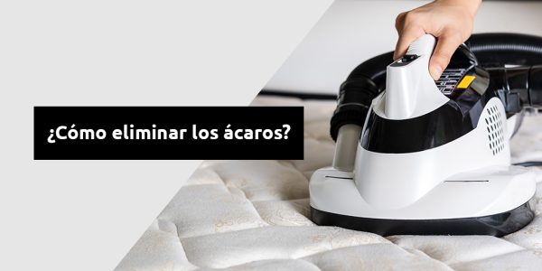 ¿Cómo eliminar los ácaros? - Fumigación Universal, C.A